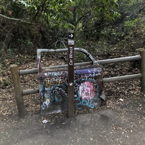 1940s Car Wreck Trail Hike in Laguna Beach