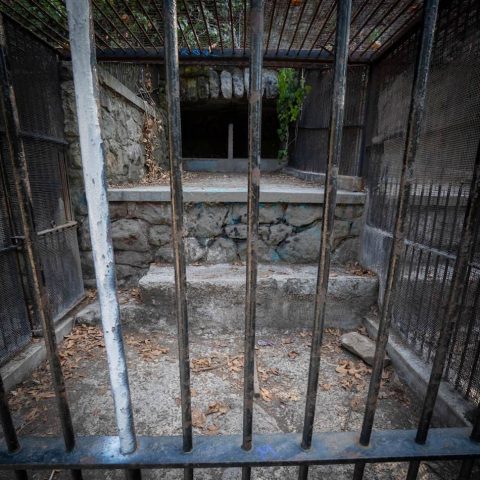 Old LA Zoo: Explore Abandoned Ruins In Griffith Park
