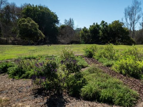 Huntington Central Park: HB's Best Local Park