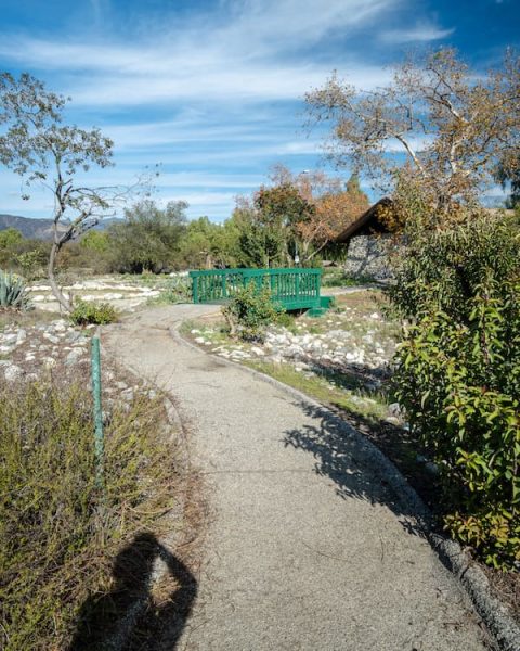 Santa Fe Dam Recreation Area: A Little Known SGV Gem