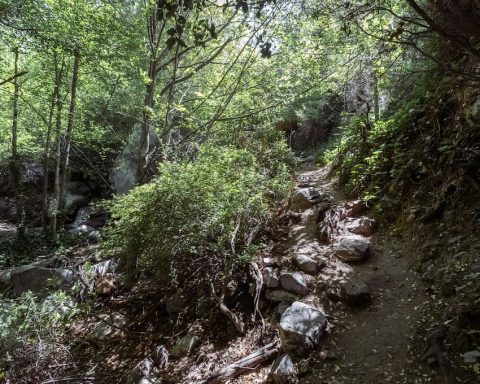 Lewis Falls In Azusa Canyon & 2nd Bonus Falls