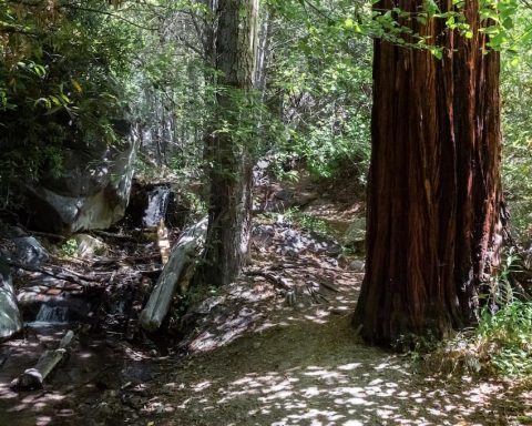 Lewis Falls In Azusa Canyon & 2nd Bonus Falls