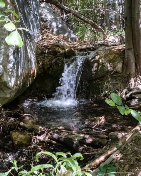 Lewis Falls In Azusa Canyon & 2nd Bonus Falls