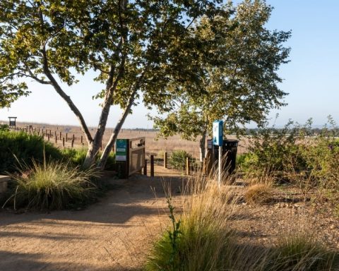 Quail Hill Trail in Irvine Open Space Preserve