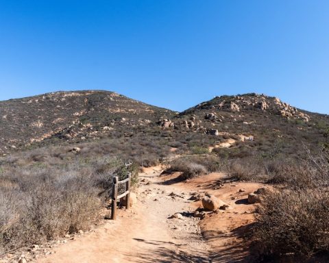 Cowles Mountain: #1 Trail in San Diego County