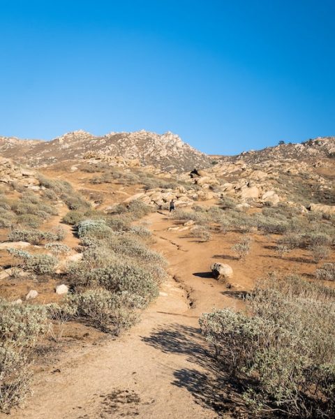 Two Trees Trail in Box Springs Mountain Regional Park
