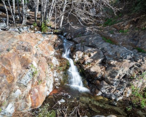 Etiwanda Falls Trail: Most Popular San Bernardino Hike