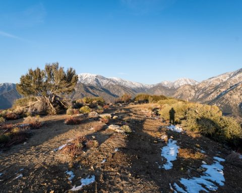 Sunset Peak Trail Guide: 2 Routes + Maps & Directions