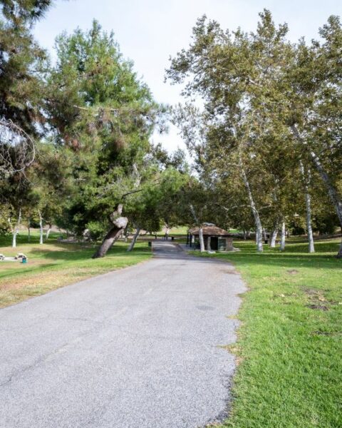 Bonelli Park Loop: Safe Stroll, Lake Views, & Playgrounds