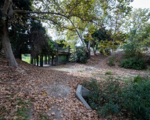 Bonelli Park Loop: Safe Stroll, Lake Views, & Playgrounds