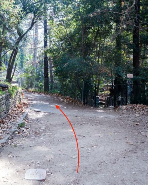 Ferndell Nature Trail To Griffith Observatory Loop