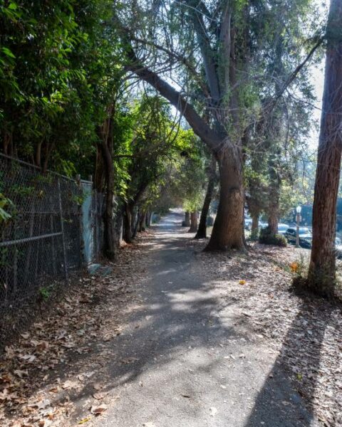 Ferndell Nature Trail To Griffith Observatory Loop